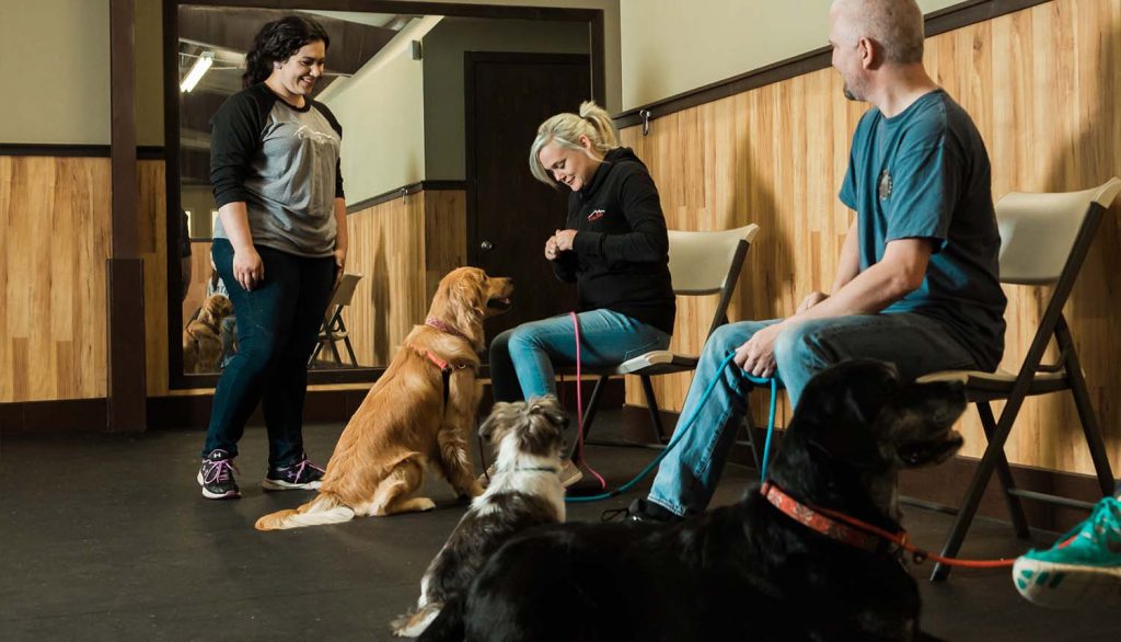 group-dog-training-classes-woodinville-2 | Cascade Kennels group-dog-training-classes-woodinville-2 | Cascade Kennels